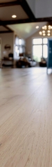 Champagne | FREB-7-CH pre-finished, engineered hardwood flooring